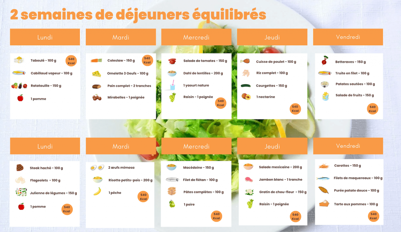 Idée de repas pour le midi à emporter au travail (menu 2 semaines)